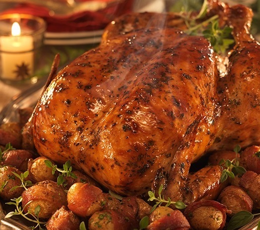 Empresa divulga imagens do misterioso Chester vivo; veja o animal ...